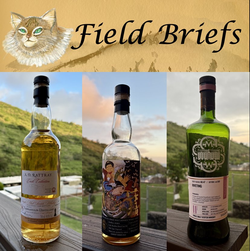 Field Briefs: February Weekends and Tastings Part III – Whiskery Turnip